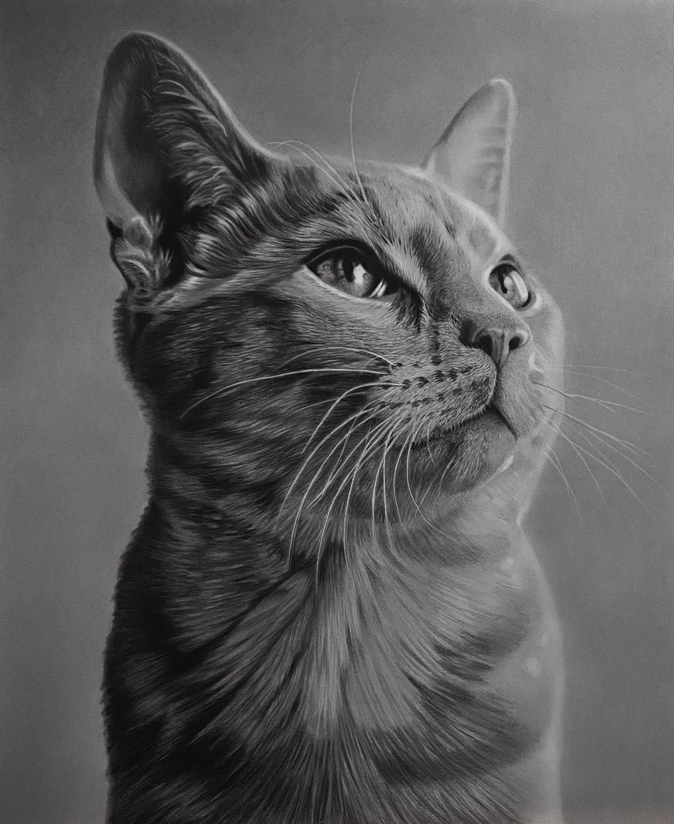 Learn How to Draw Photorealistic Cat Portrait Tutorial (A3 Graphite Pe ...